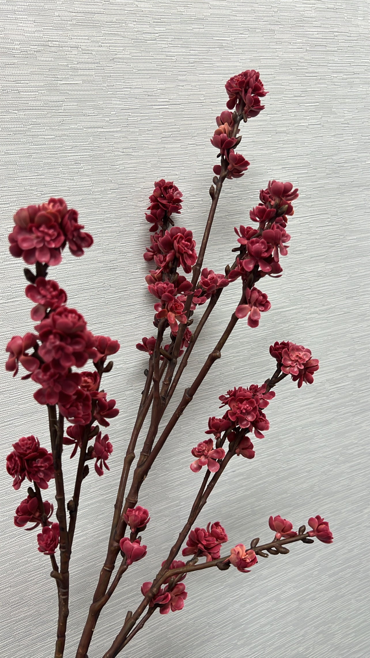 Plum blossom stem | Luscious Homewares